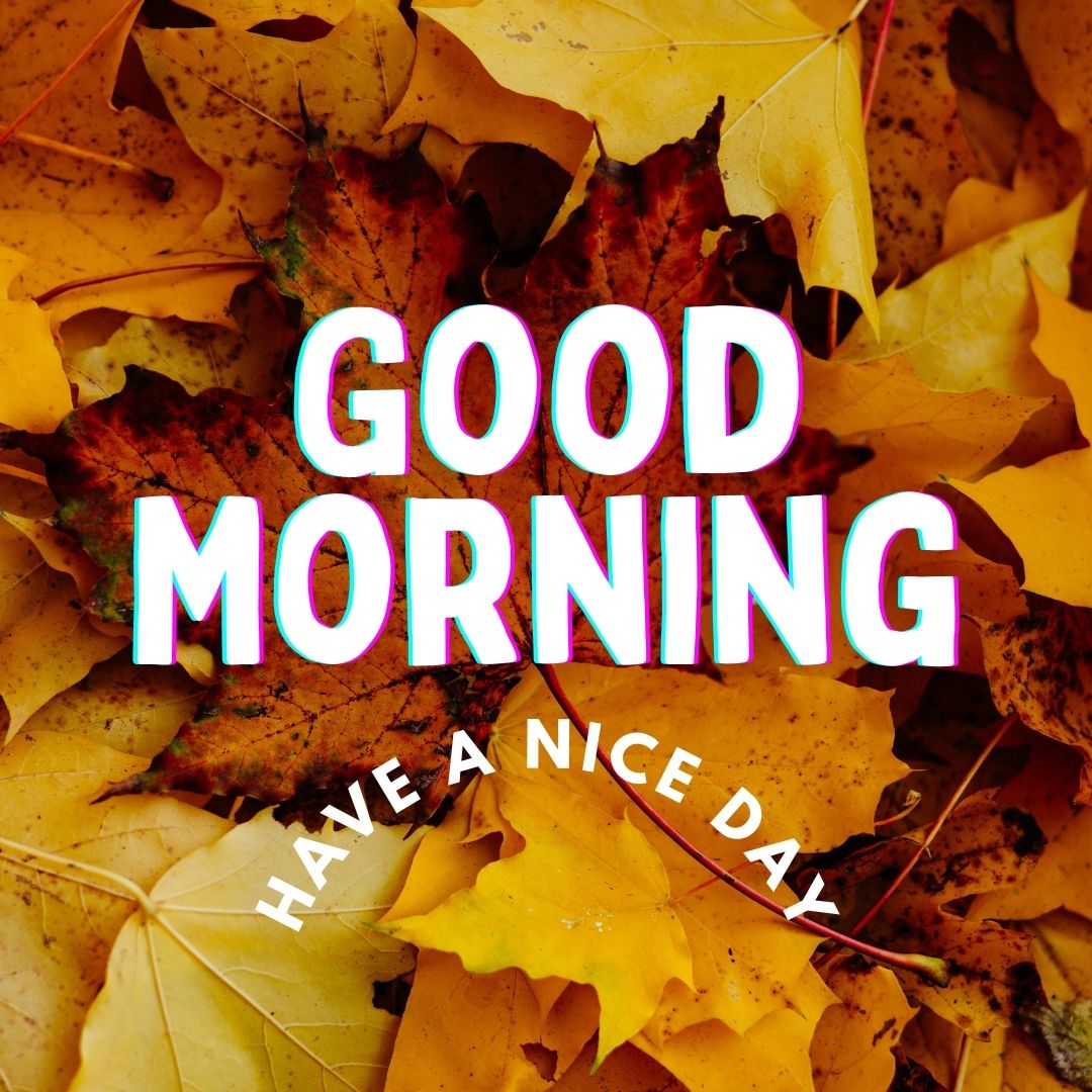 Beautiful Good Morning Fall Season Images