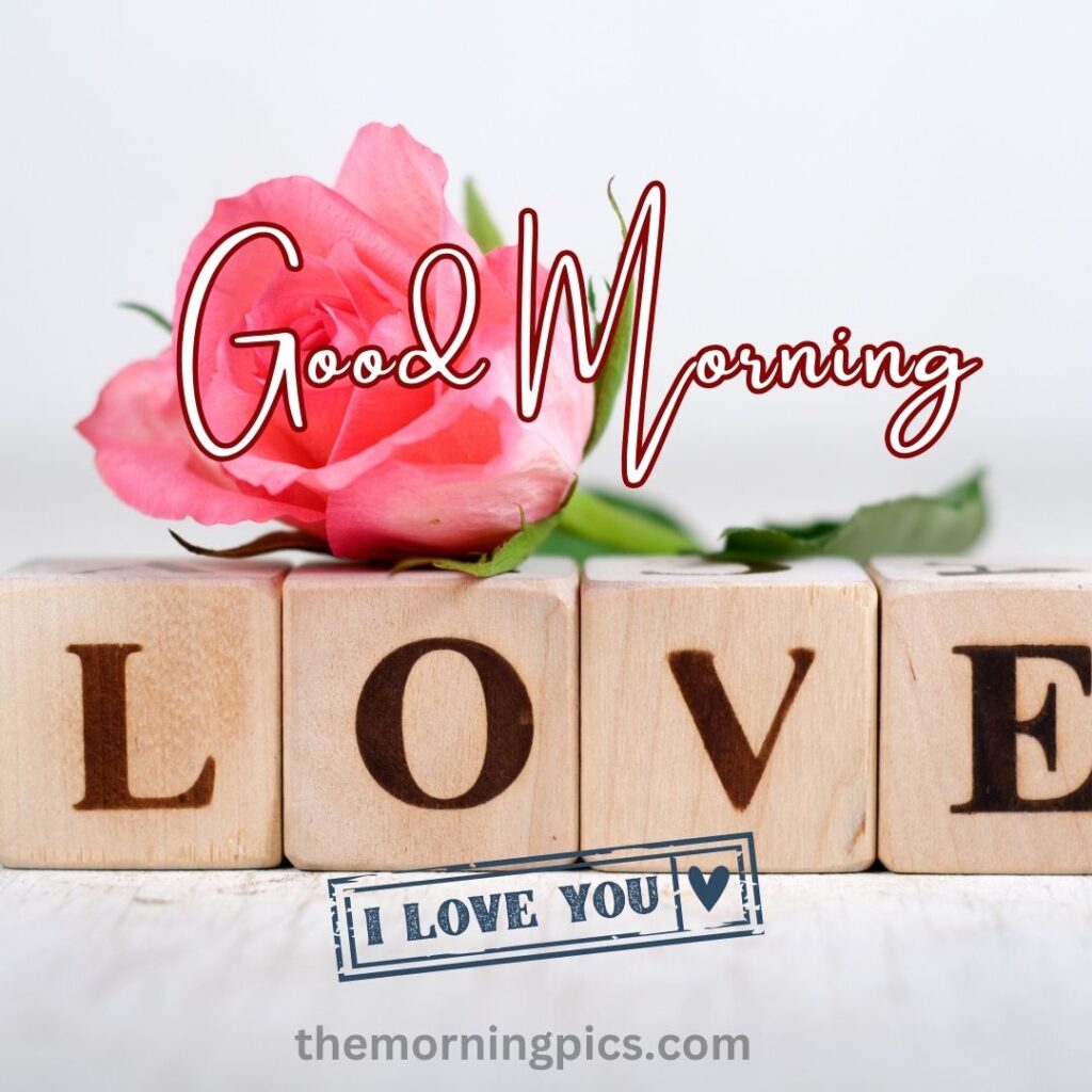 40+ Good Morning Love Images With Quotes